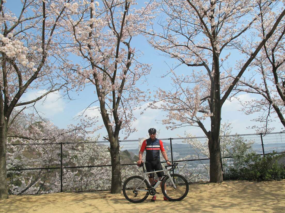 CITY Strada Osaka – 3T Bike NA