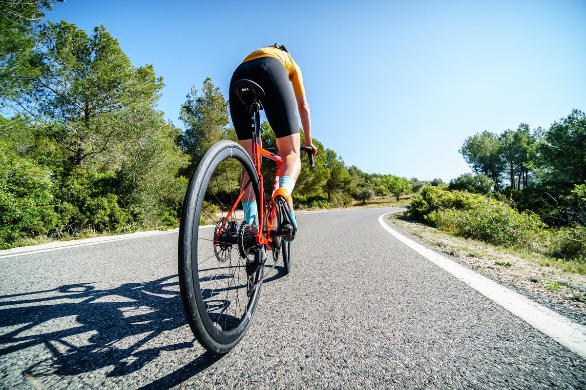Strada Mountain Champion – 3T Bike NA